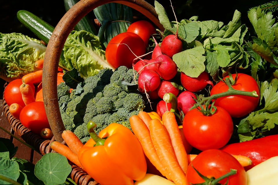 Seasonal Vegetable Planting Guide